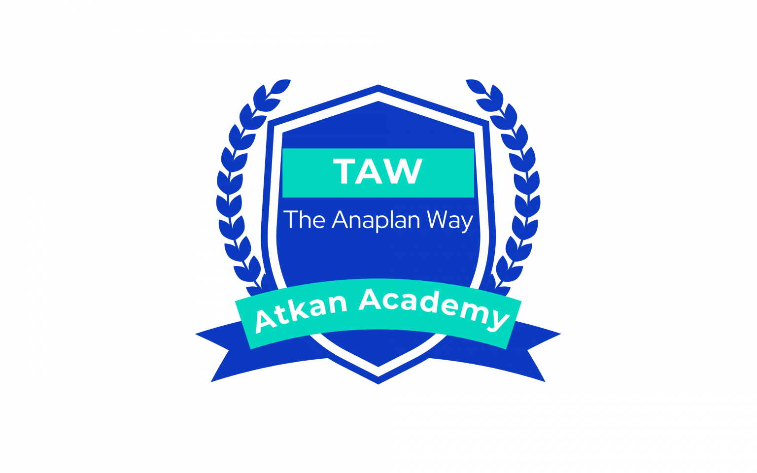 Anaplan training - Atkan Academy